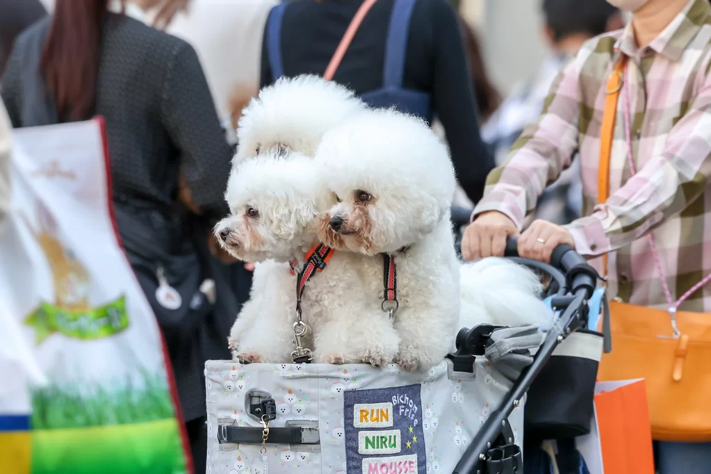 Interpets